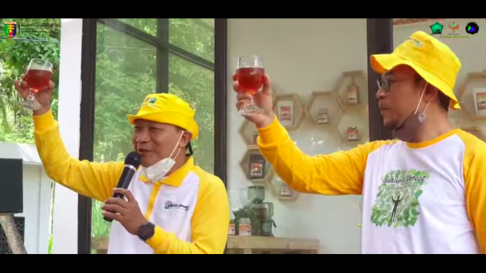 Terapi Hutan?? Sembuhkan fisik dan mental di hutan | HEALING FOREST ...